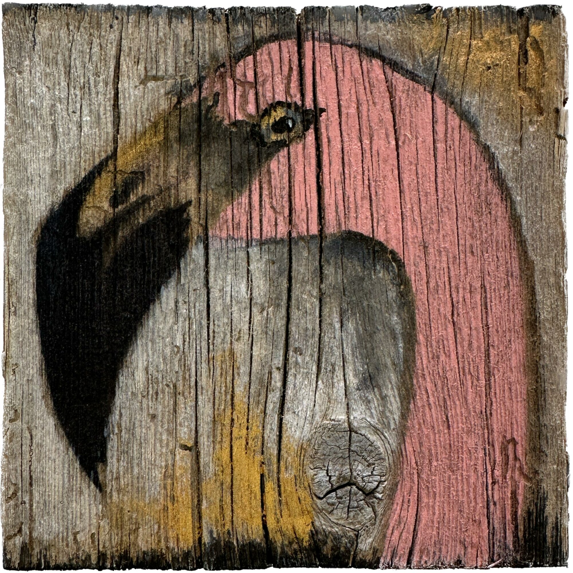 Sunrise Flamingo X | Artwork by Judith Sturm | Galeria HMH | Art ...